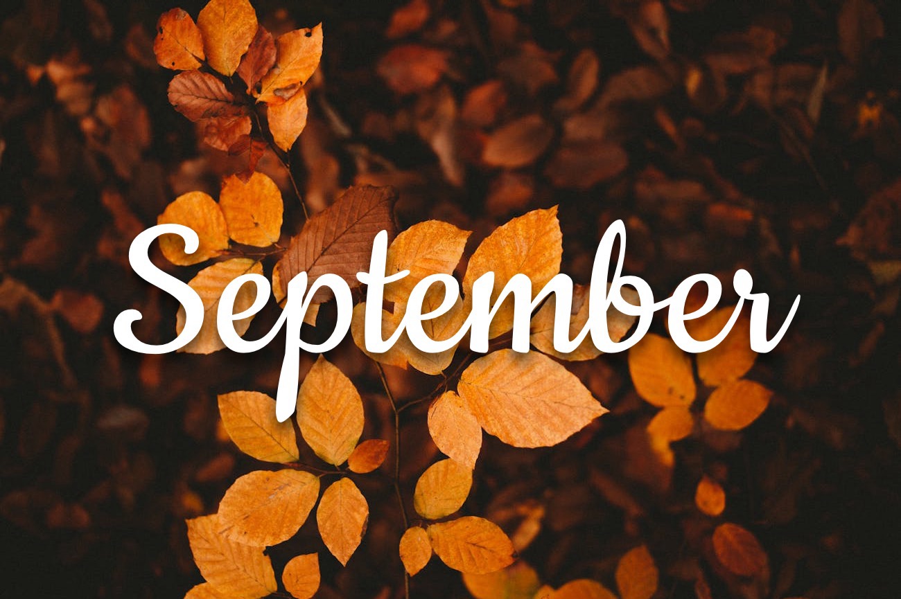 September 2024 Newsletter – Tri-Lakes Services, Inc.