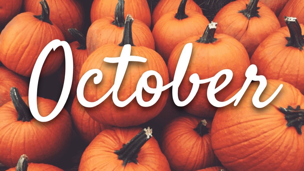 October 2024 Newsletter – Tri-Lakes Services, Inc.